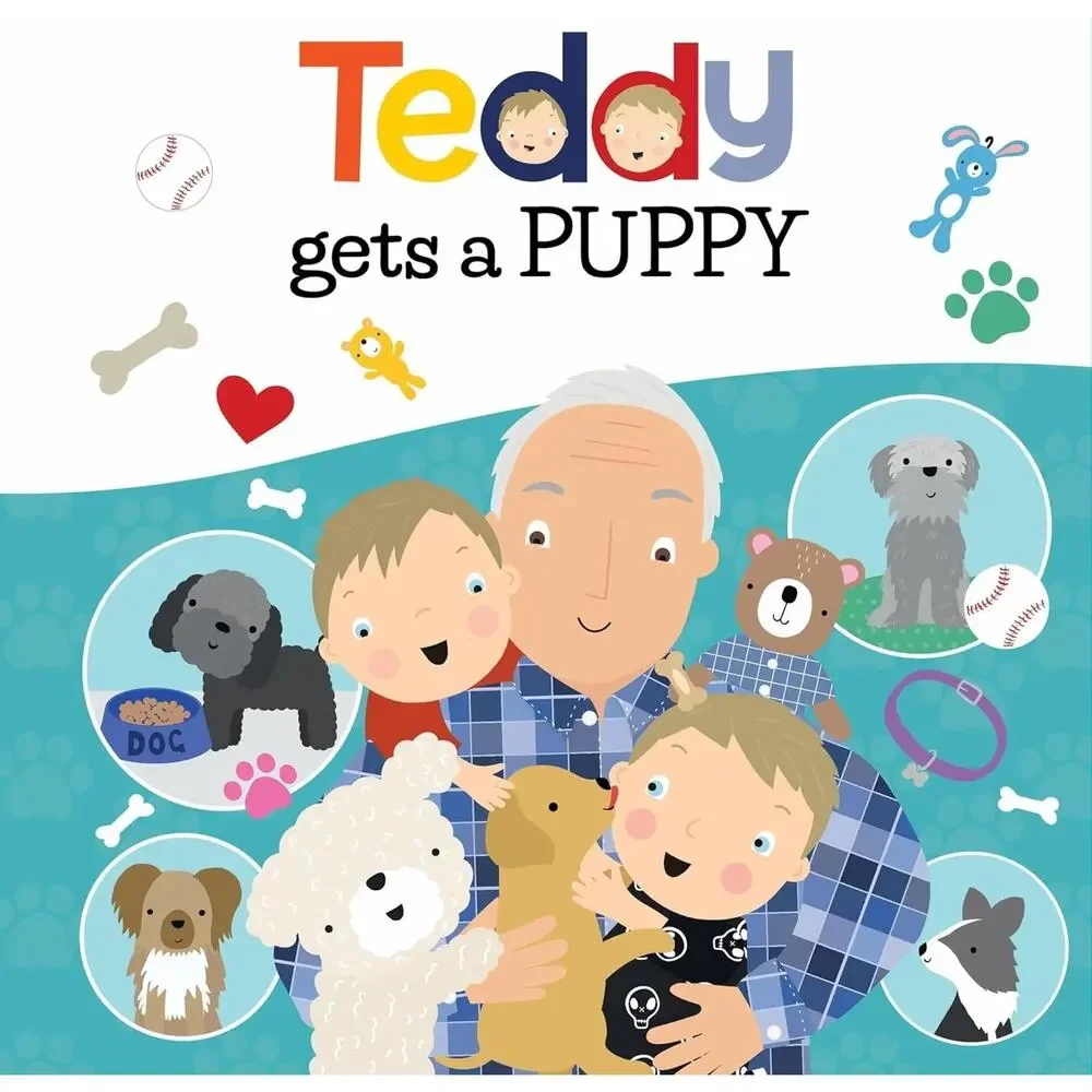 Accents | New Teddy Vol 1 Vol 2 1book Illustrated Box Set Picture Books ...